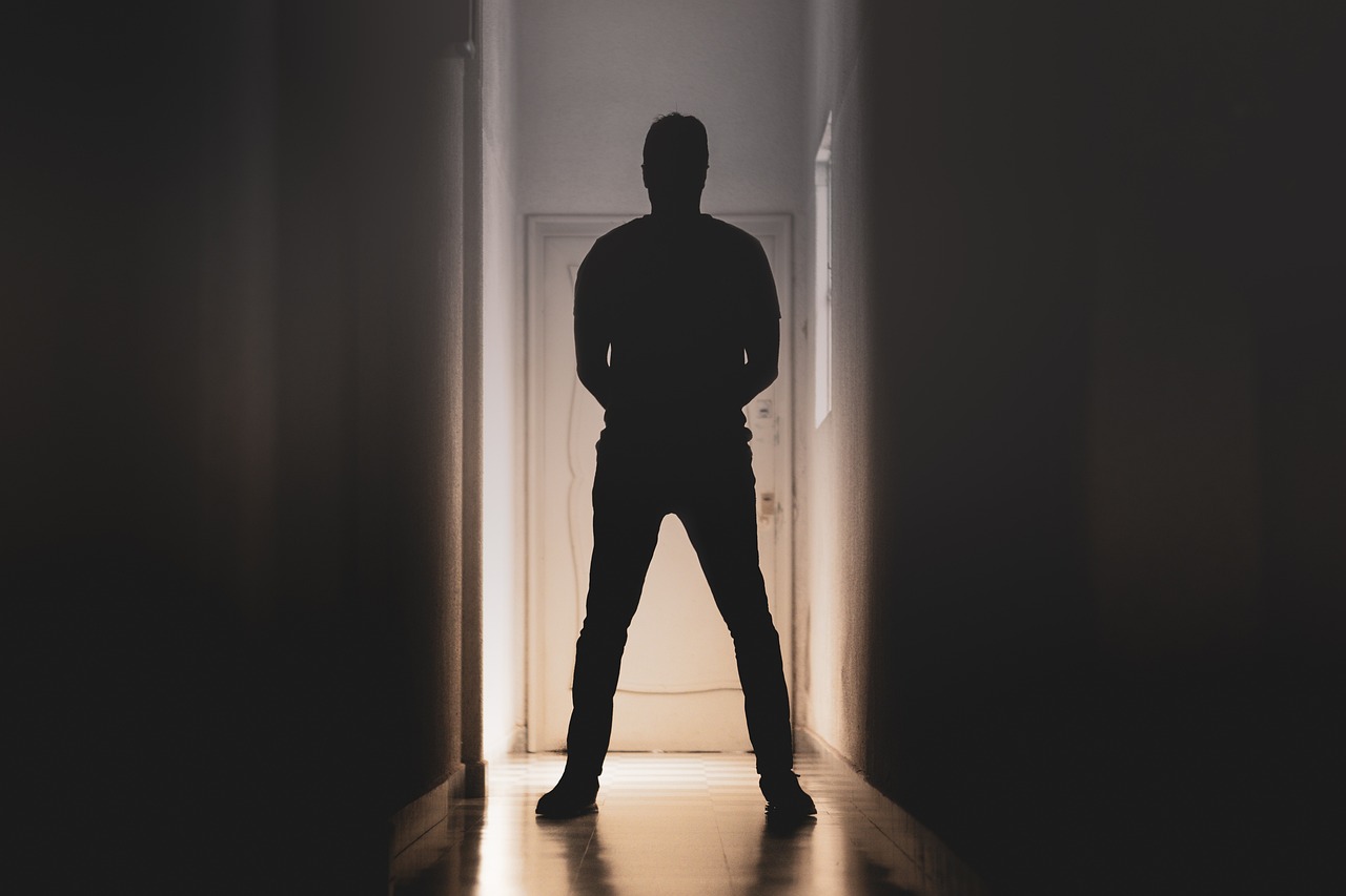 Shadow people - Have You Seen Them in Your House? - Ghost Freaks